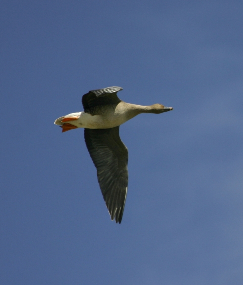 Bill Hubick Photography