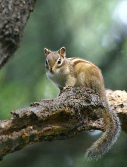 Bill Hubick Photography