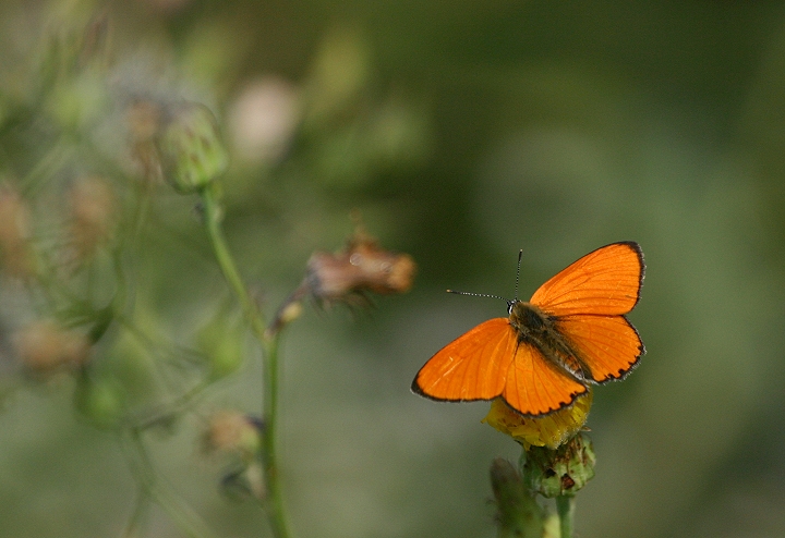 Bill Hubick Photography