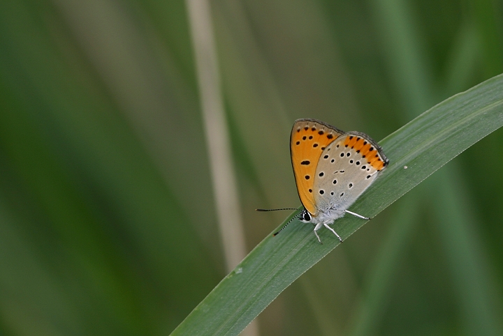 Bill Hubick Photography