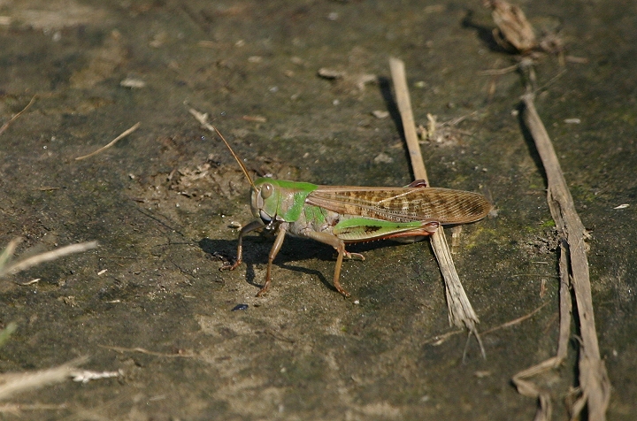 Bill Hubick Photography