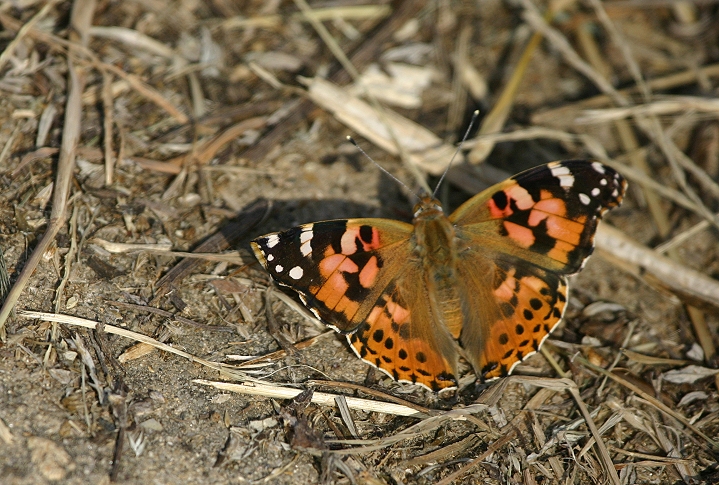 Bill Hubick Photography