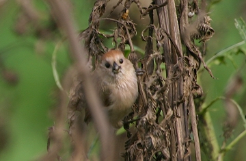 Bill Hubick Photography